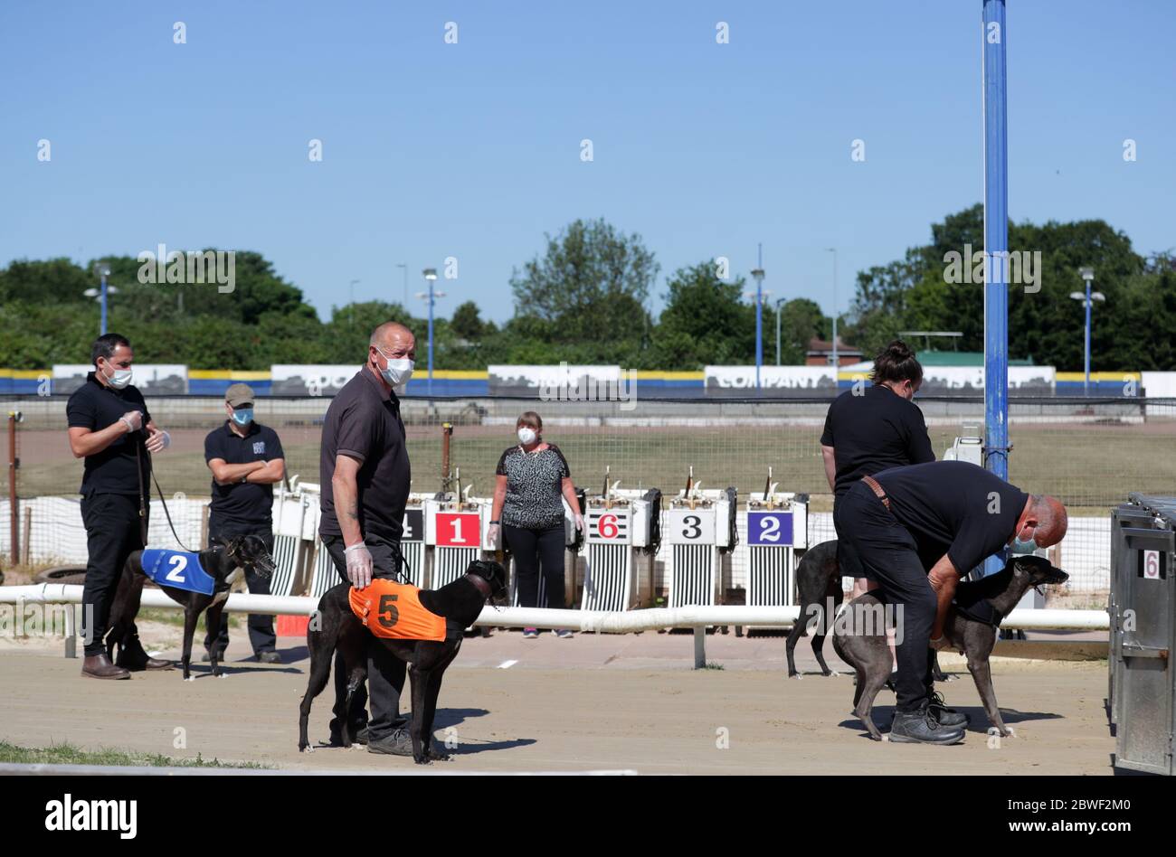 Greyhounds are brought to the starting gates before race 2 at Perry ...