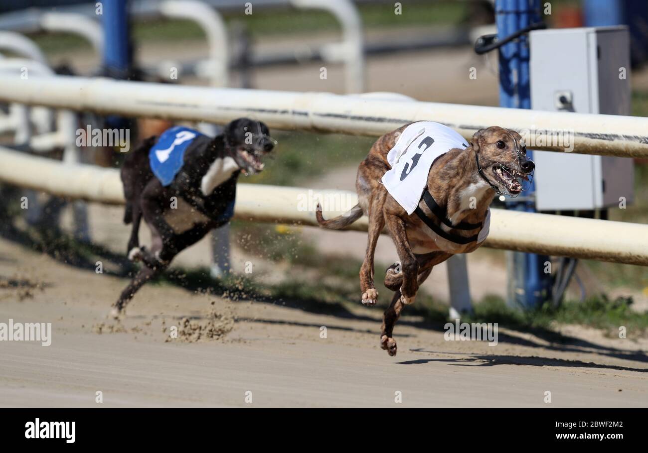 Perry barr greyhound stadium hi-res stock photography and images - Alamy