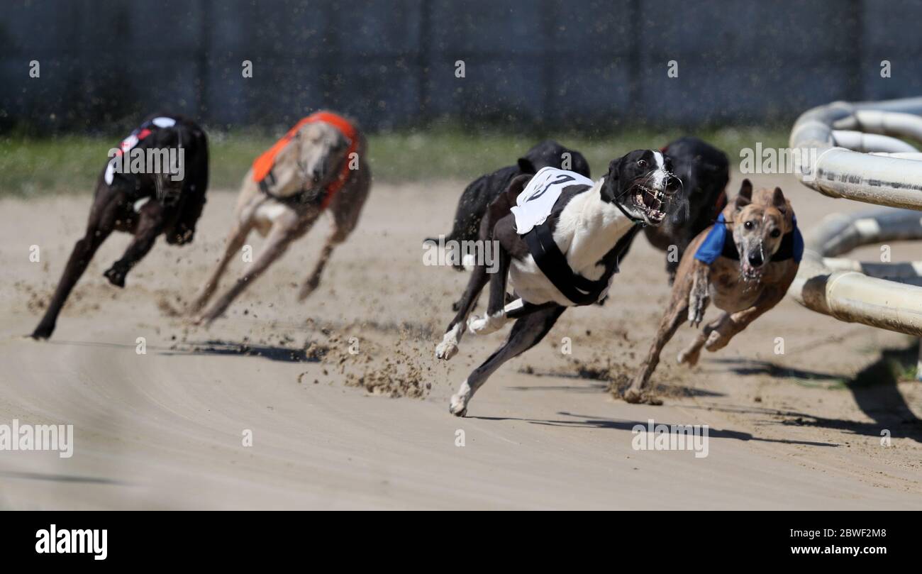 Perry barr greyhound stadium hi-res stock photography and images - Alamy