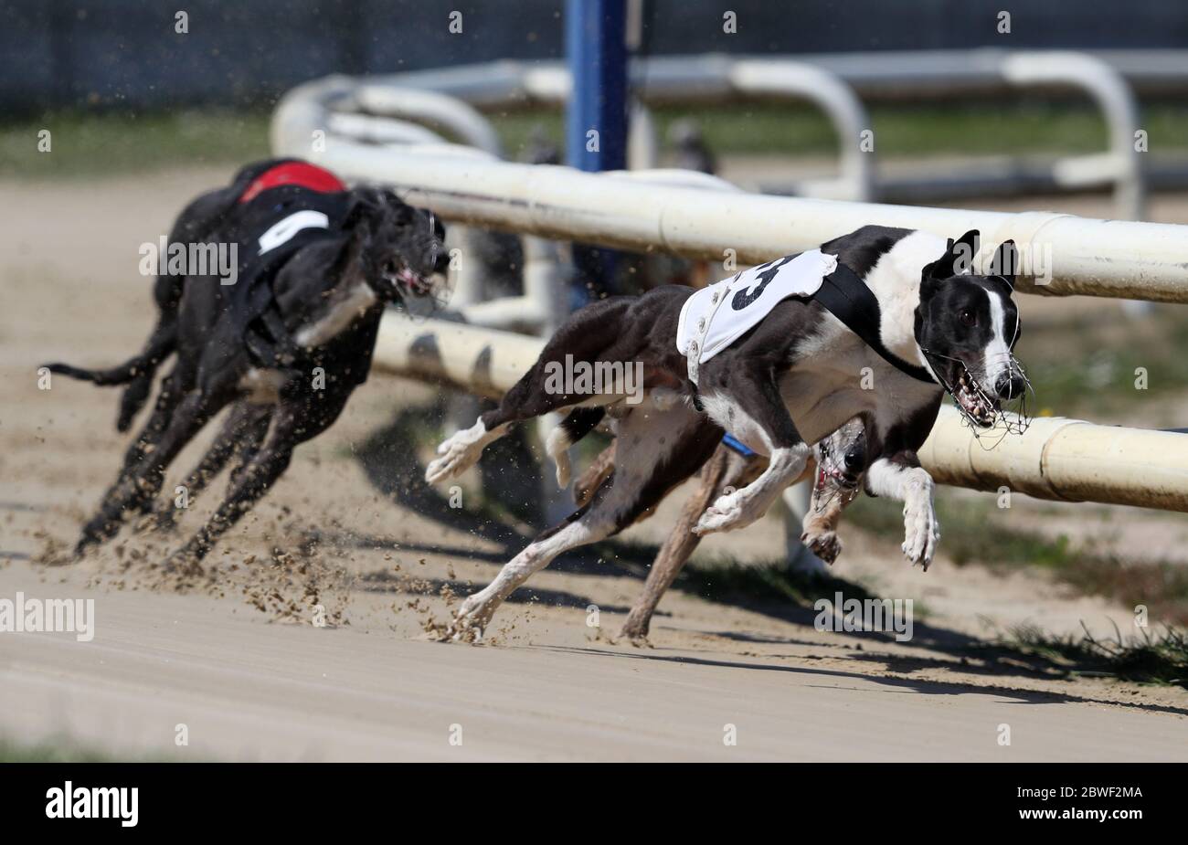 Perry barr greyhound stadium hi-res stock photography and images - Alamy