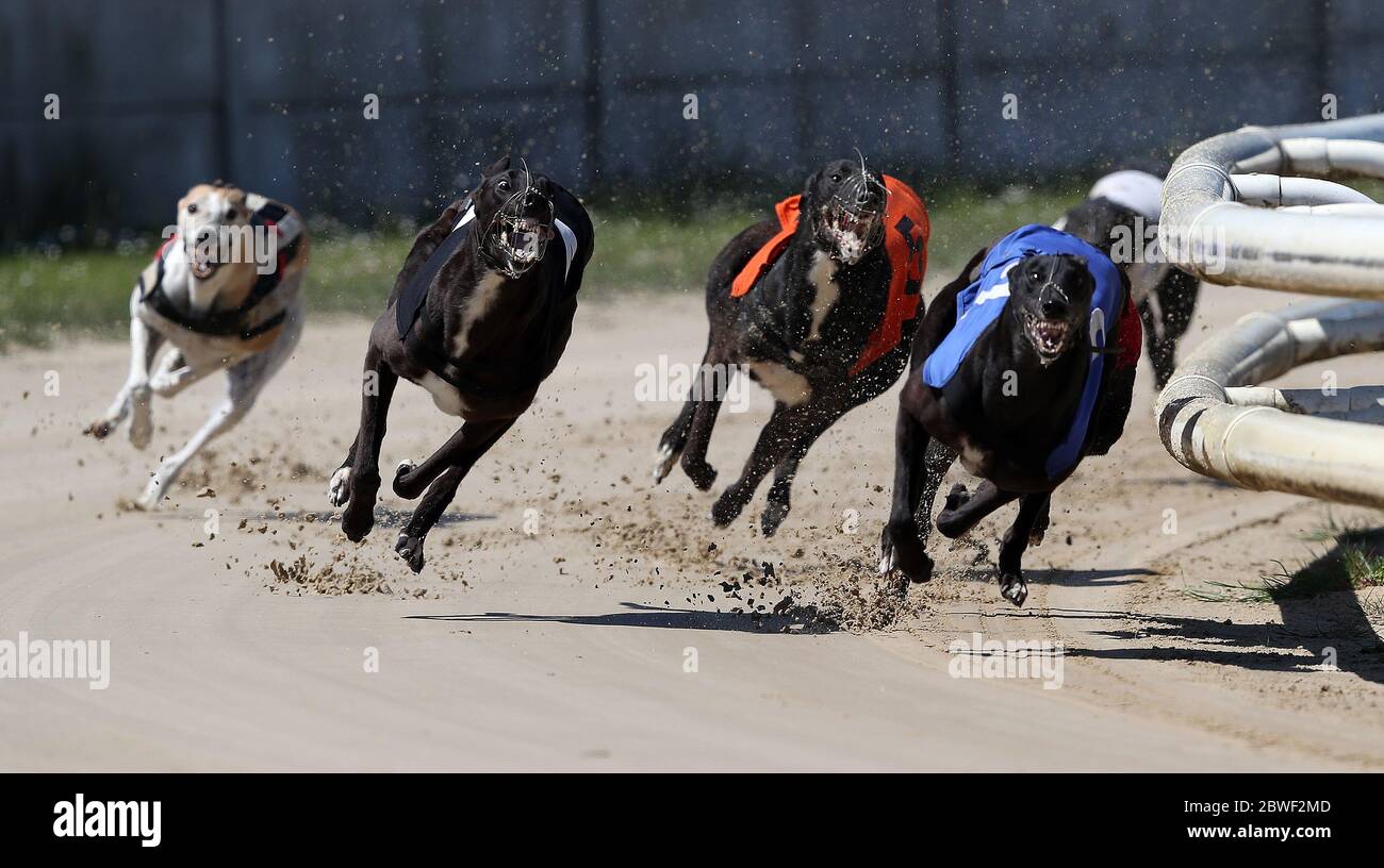 Perry barr greyhound stadium hi-res stock photography and images - Alamy