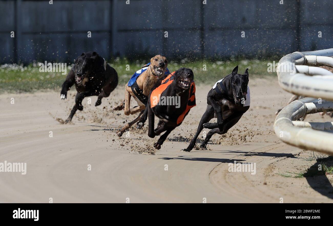 Perry barr greyhound racing hi-res stock photography and images - Alamy
