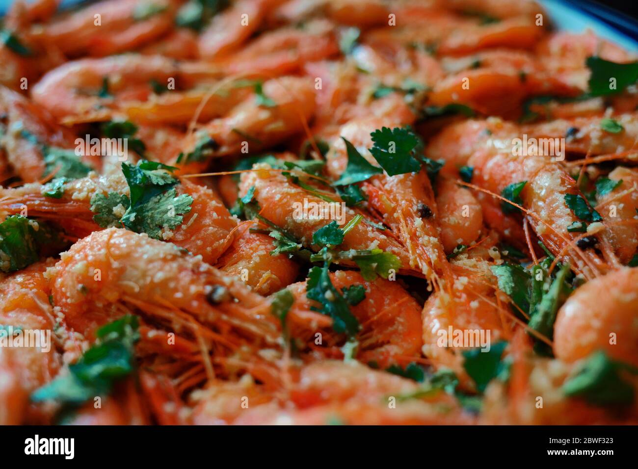 Fresh boiled prawns with coriander. A delicious dish of seafood Stock ...