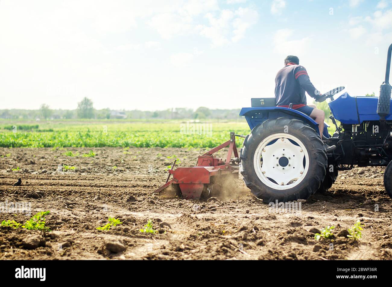 Farmer on a tractor cultivates a farm field. Soil milling, crumbling ...