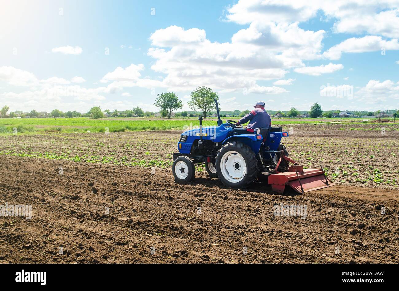 A farmer on a tractor mills the soil with a milling machine equipment ...