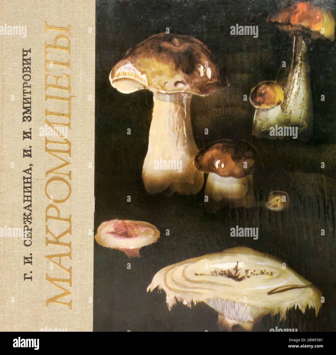Macromycetes (Catalog of mushrooms), published by the Higher School ...