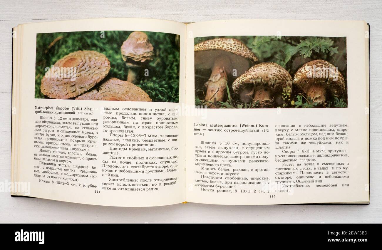 Macromycetes (Catalog of mushrooms), published by the Higher School ...