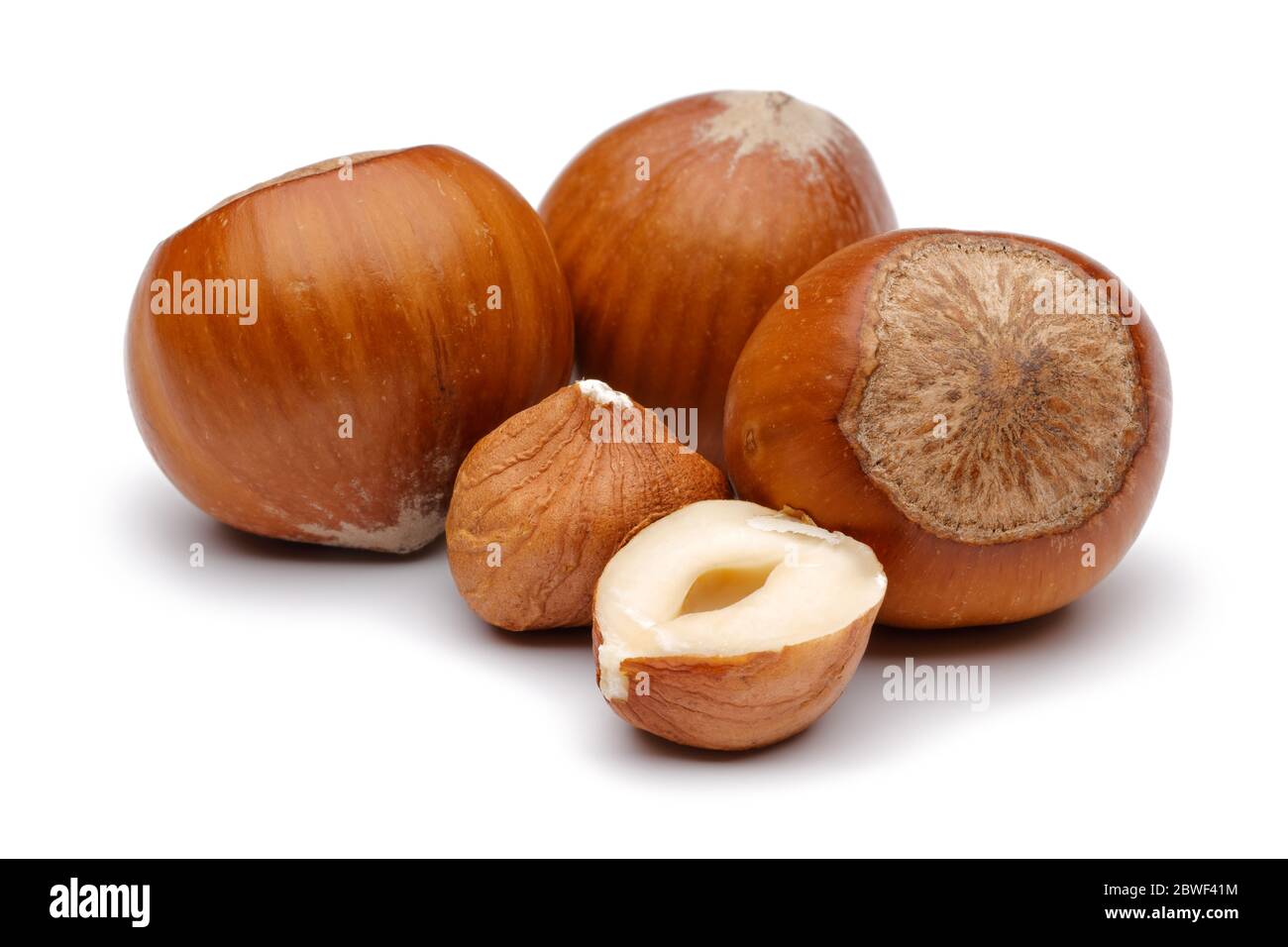 Fresh hazelnut isolated on white background Stock Photo - Alamy