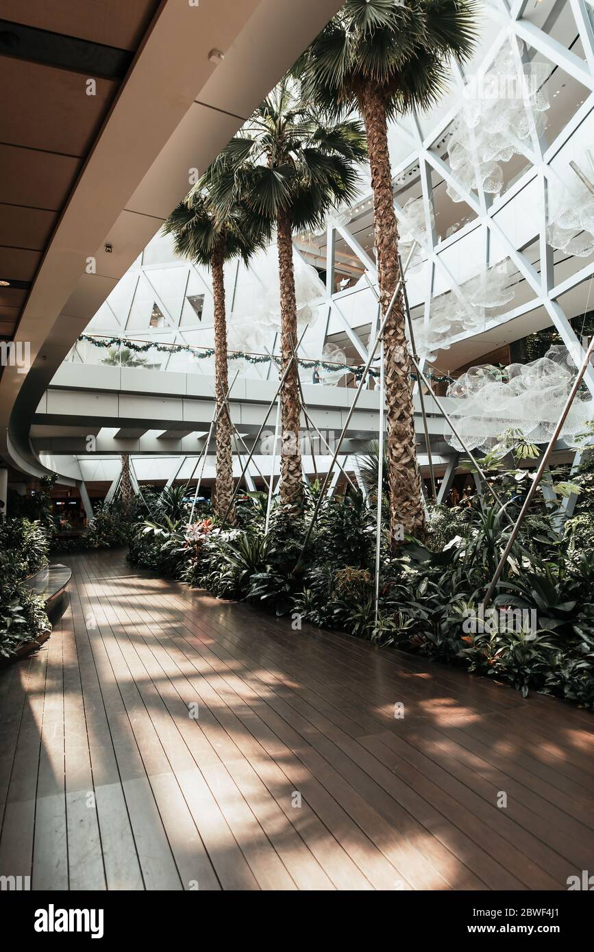 Changi airport garden hi-res stock photography and images - Alamy