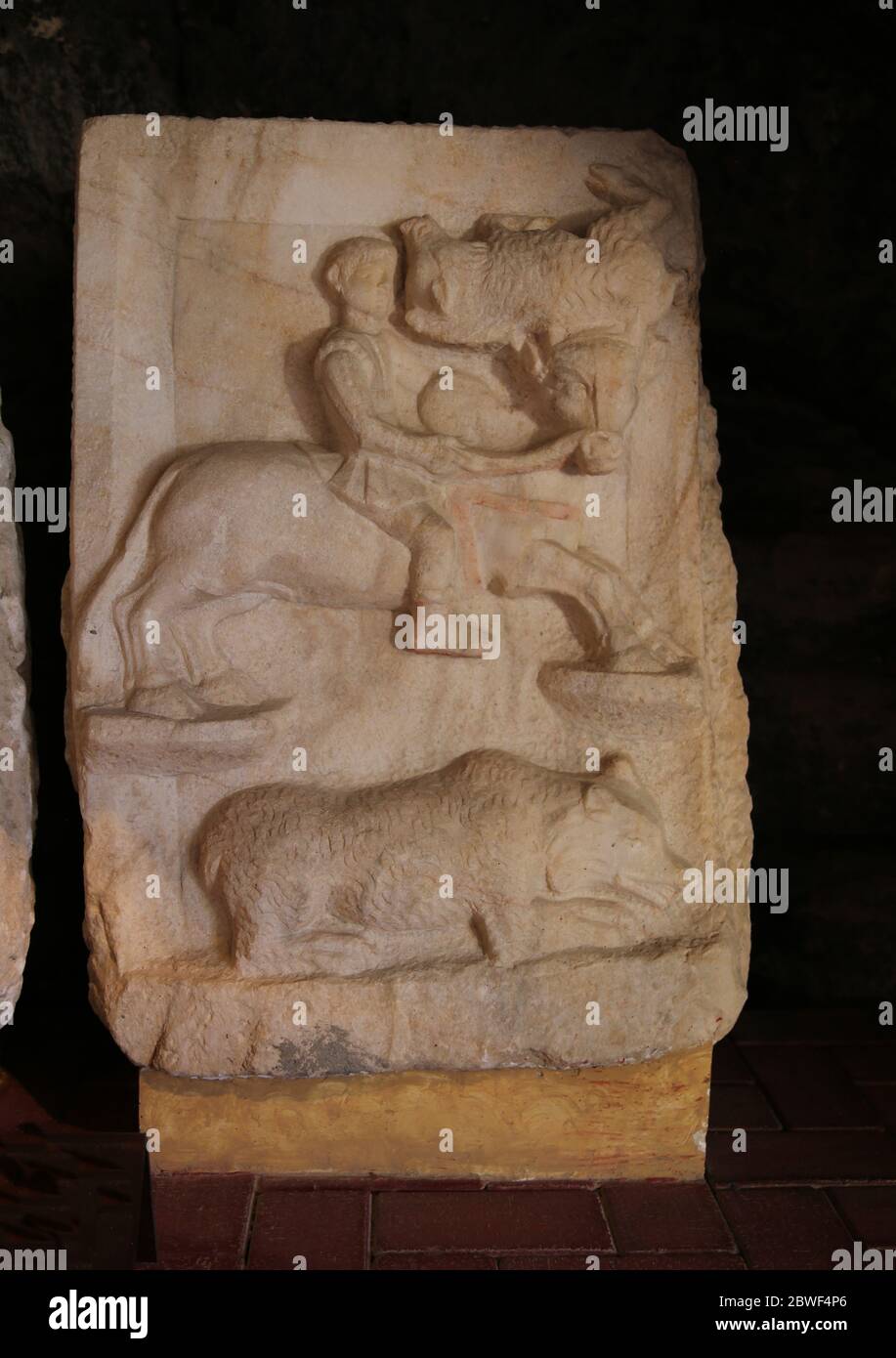 Venatio (entertainment in Roman amphitheaters involving hunting and ...