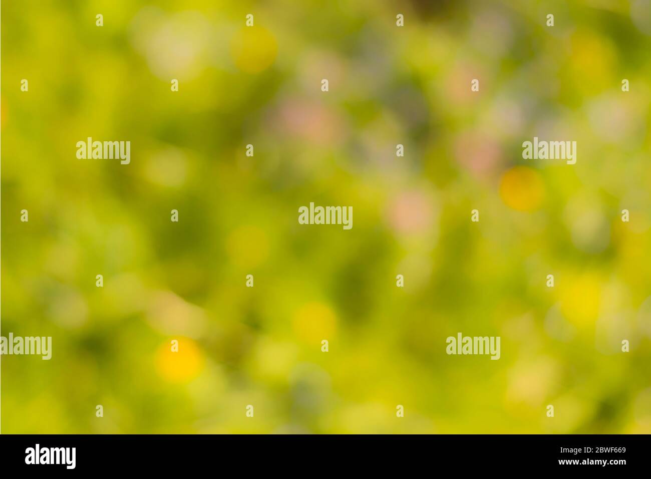Blurry field of grass background hi-res stock photography and images ...