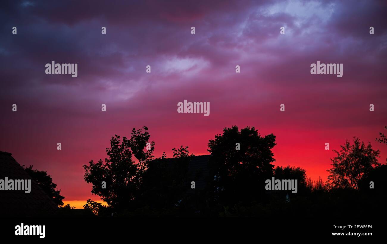 A deep red violet sunset in the silhouette of trees Stock Photo - Alamy