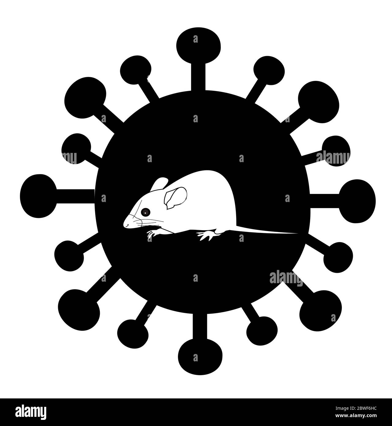Leptospirosis bacteria vector Stock Vector Images - Alamy