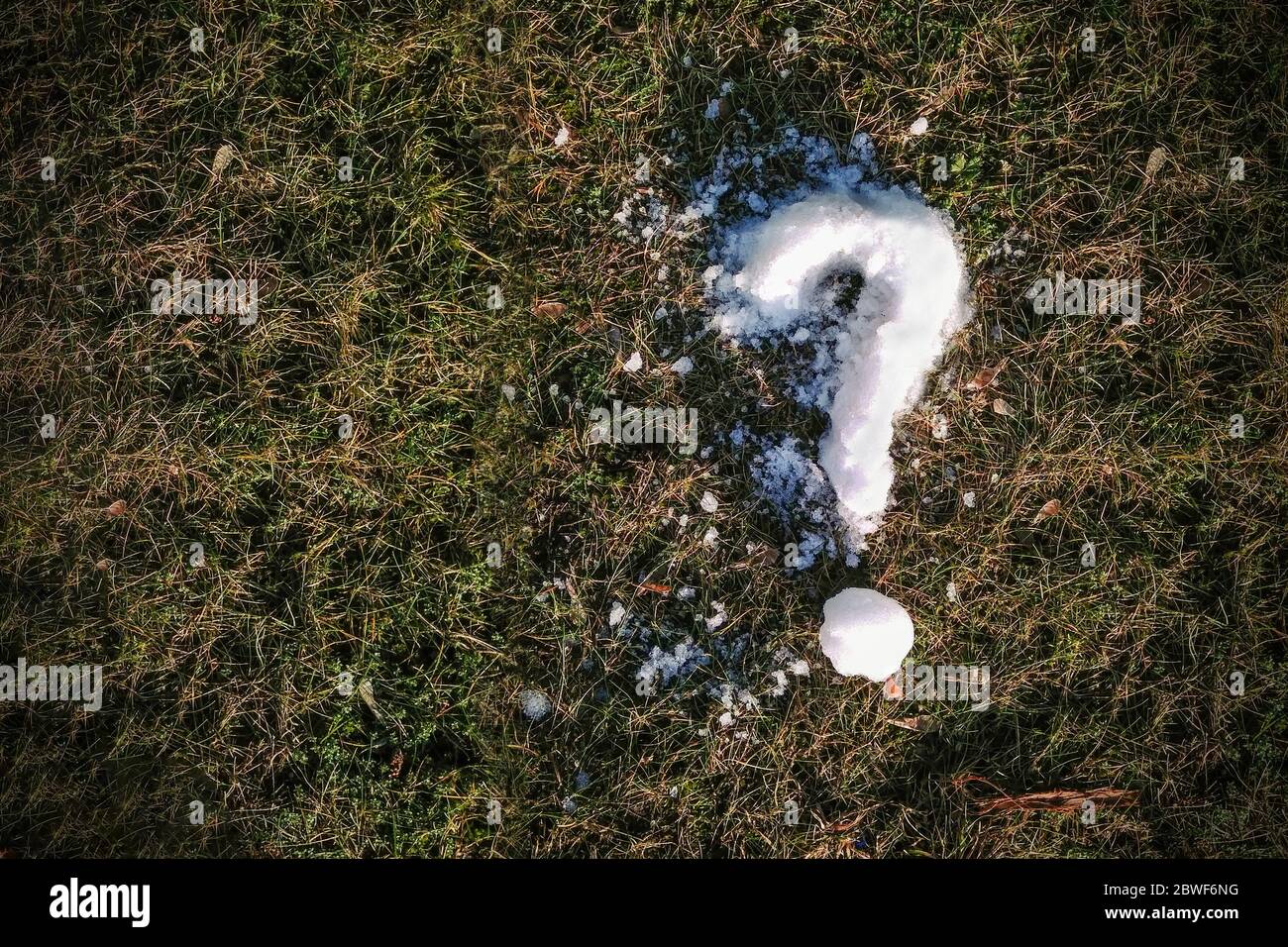 Natural grass question mark hi-res stock photography and images - Alamy