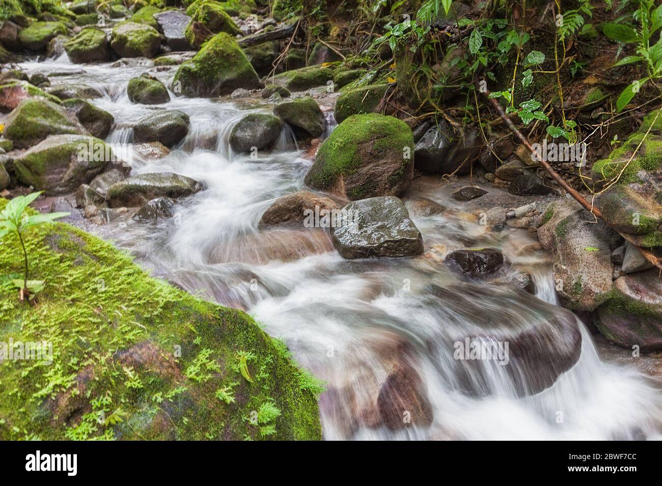 Cascade de panama hi-res stock photography and images - Alamy