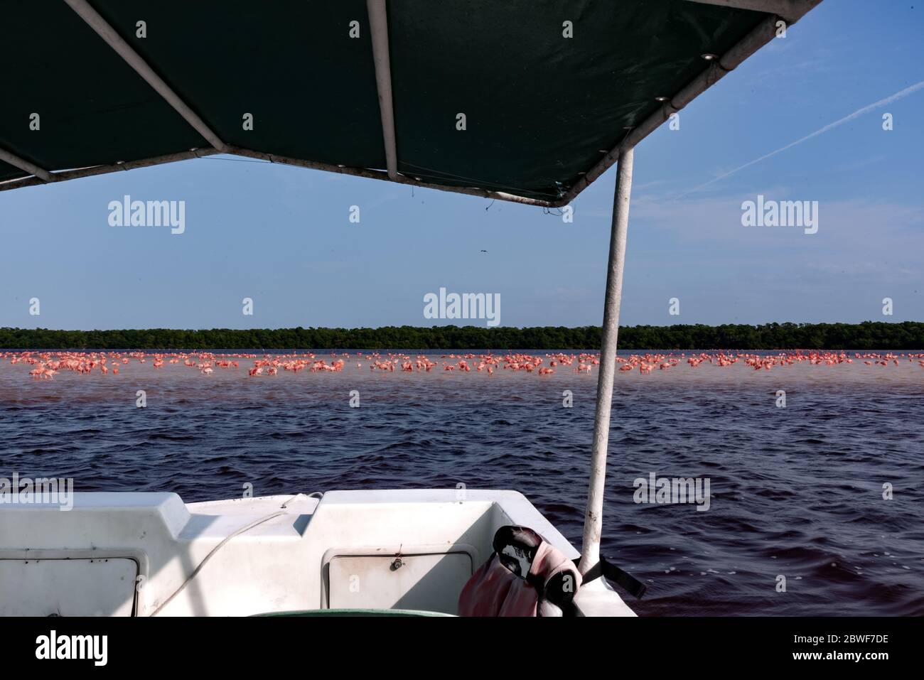 Pink flamingo boat hi-res stock photography and images - Alamy