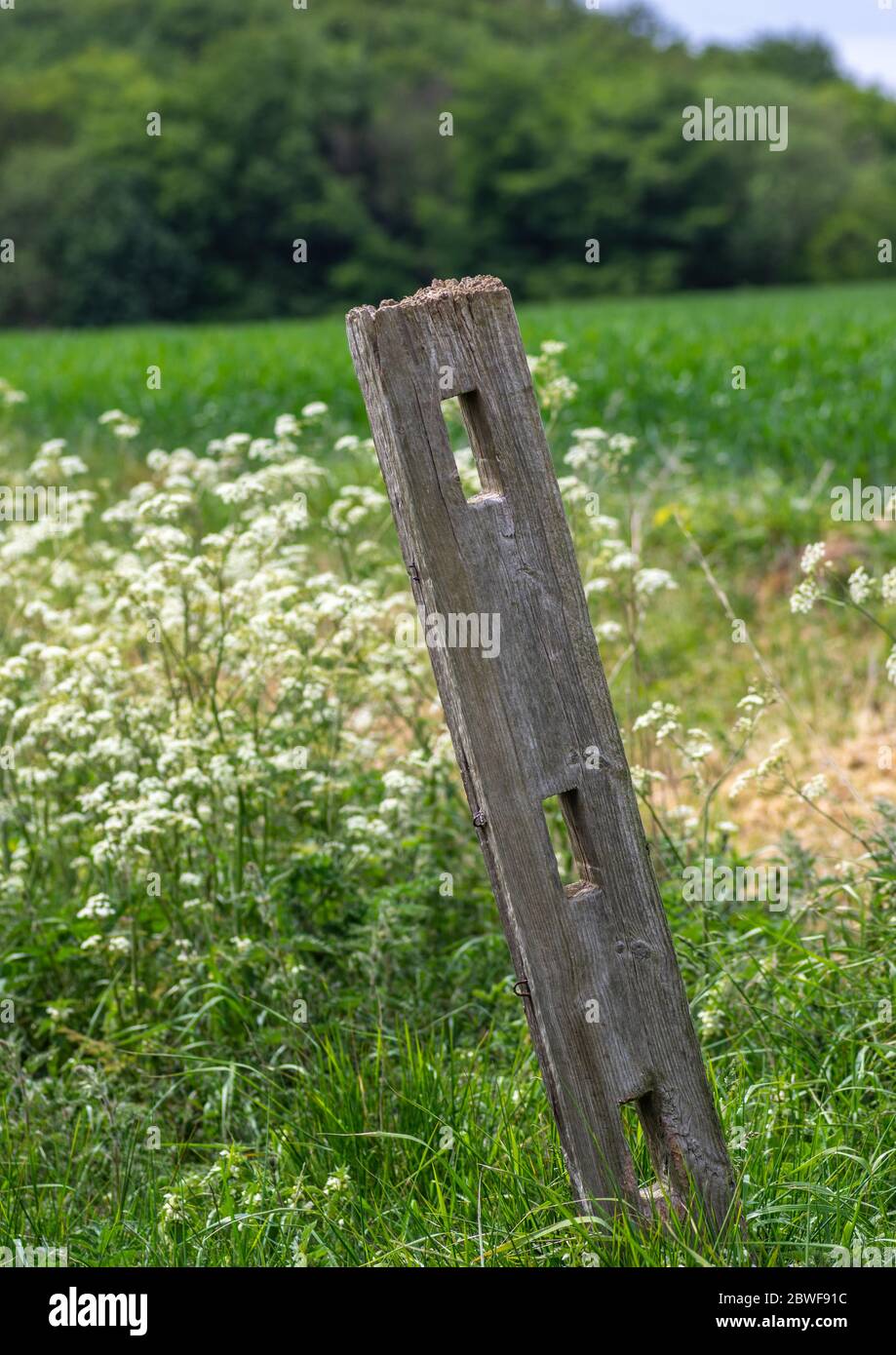 An old wooden fence post with holes in and leaning over with field and ...