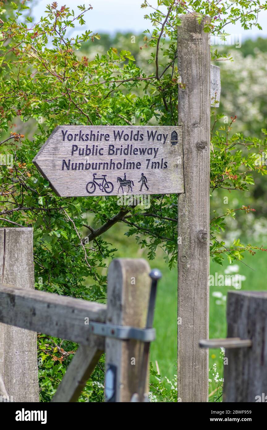 A wooden arrow directional sign post for walkers, cyclists and horse ...