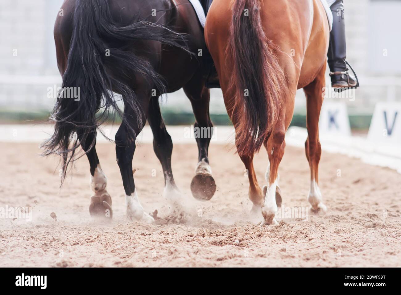 Kicking horse pass hi-res stock photography and images - Alamy