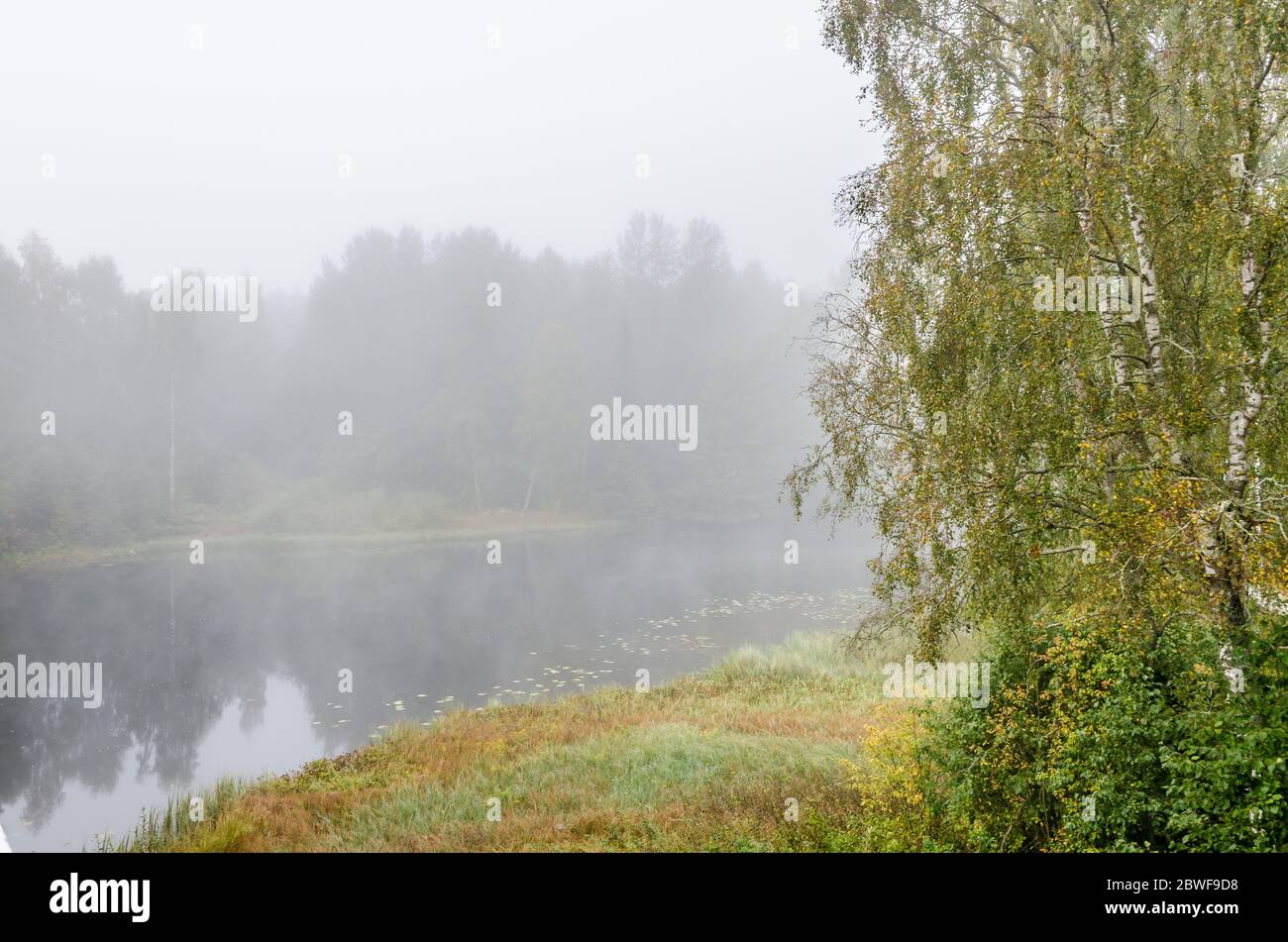 Strong fog above river at fall time. Norway Stock Photo - Alamy