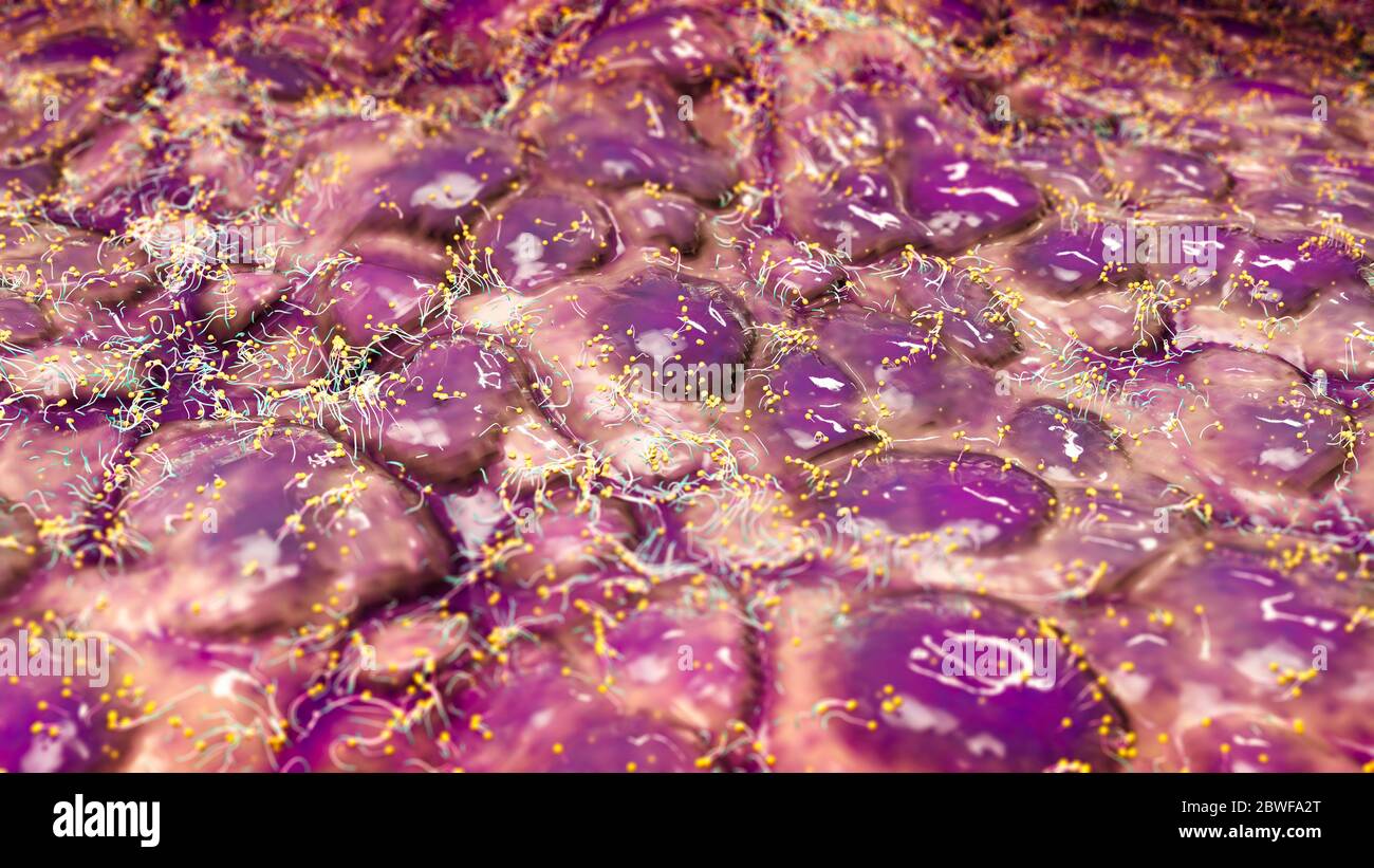 Spore propagation, spread of a virus, pollen and inflorescences ...