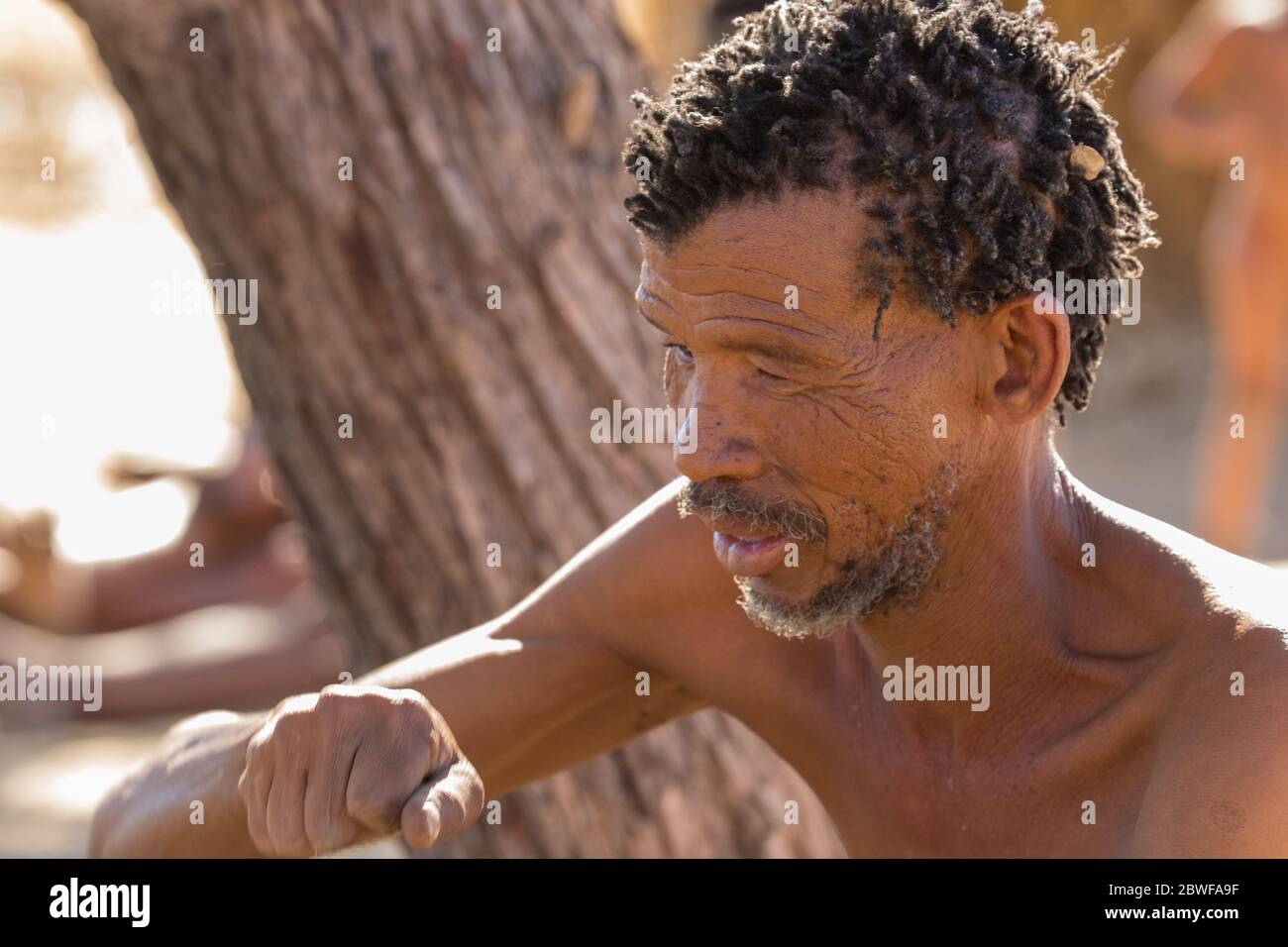 Bushman, Kalahari Desert, Namibia. The Bushmen are indigenous people of ...