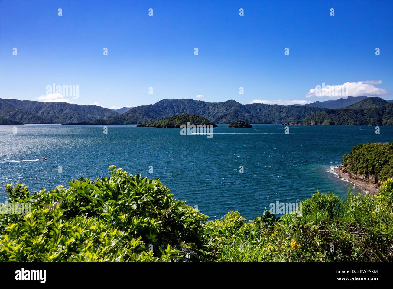 Queen Charlotte Sound, Marlborough Sounds, South Island, New Zealand ...
