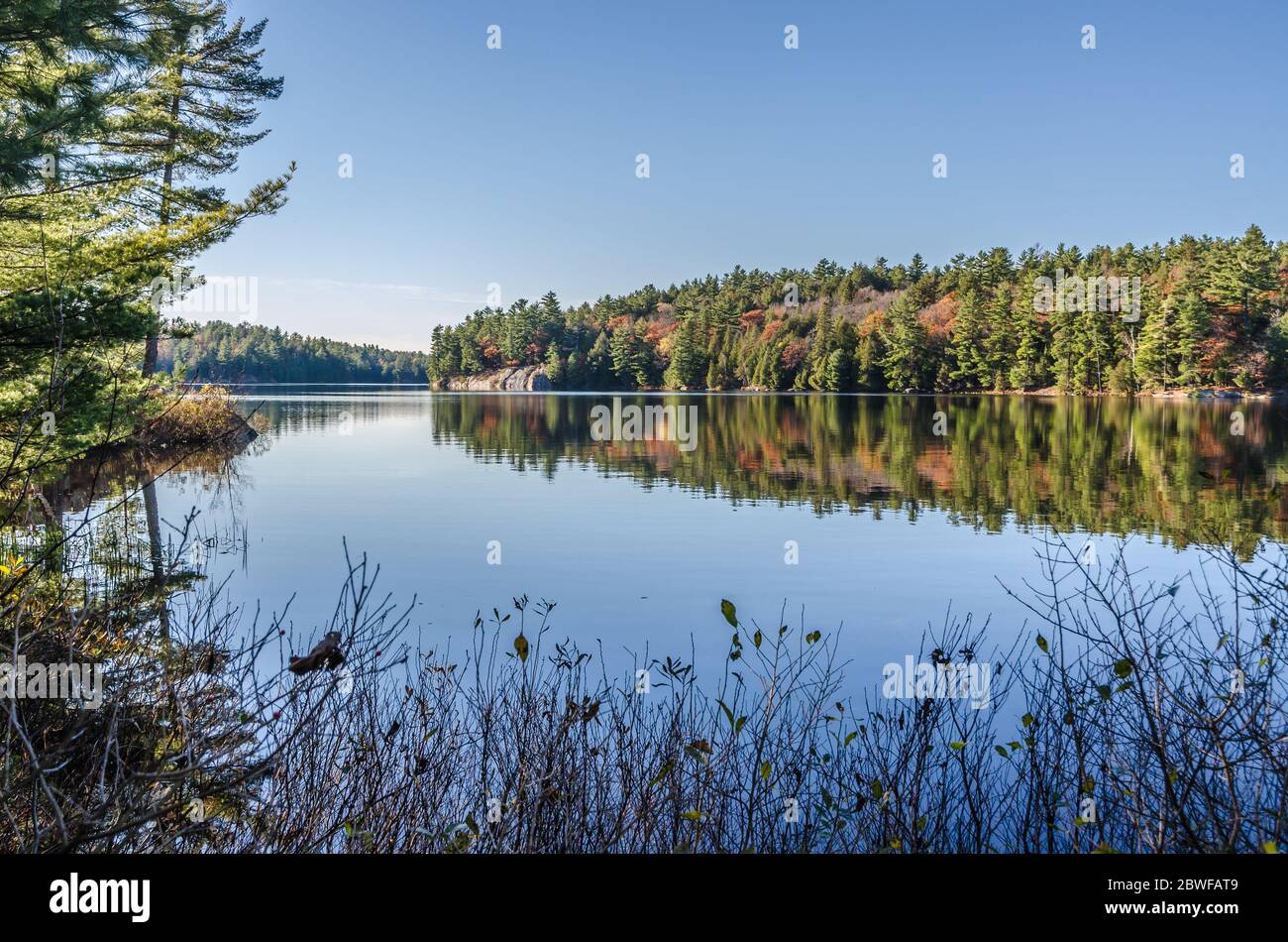 Forest lake in Killarney Park during the fall season Stock Photo - Alamy