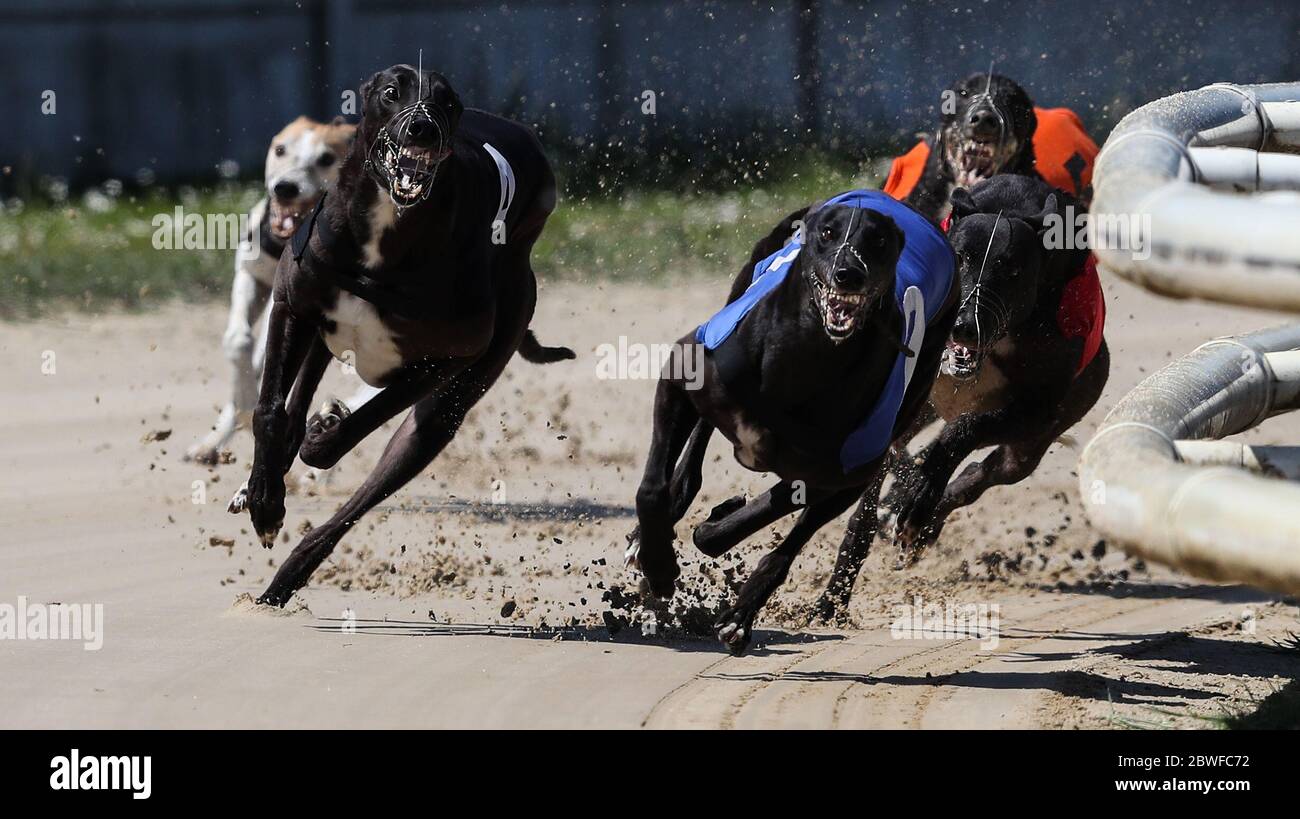 Perry barr greyhound racing hi-res stock photography and images - Alamy