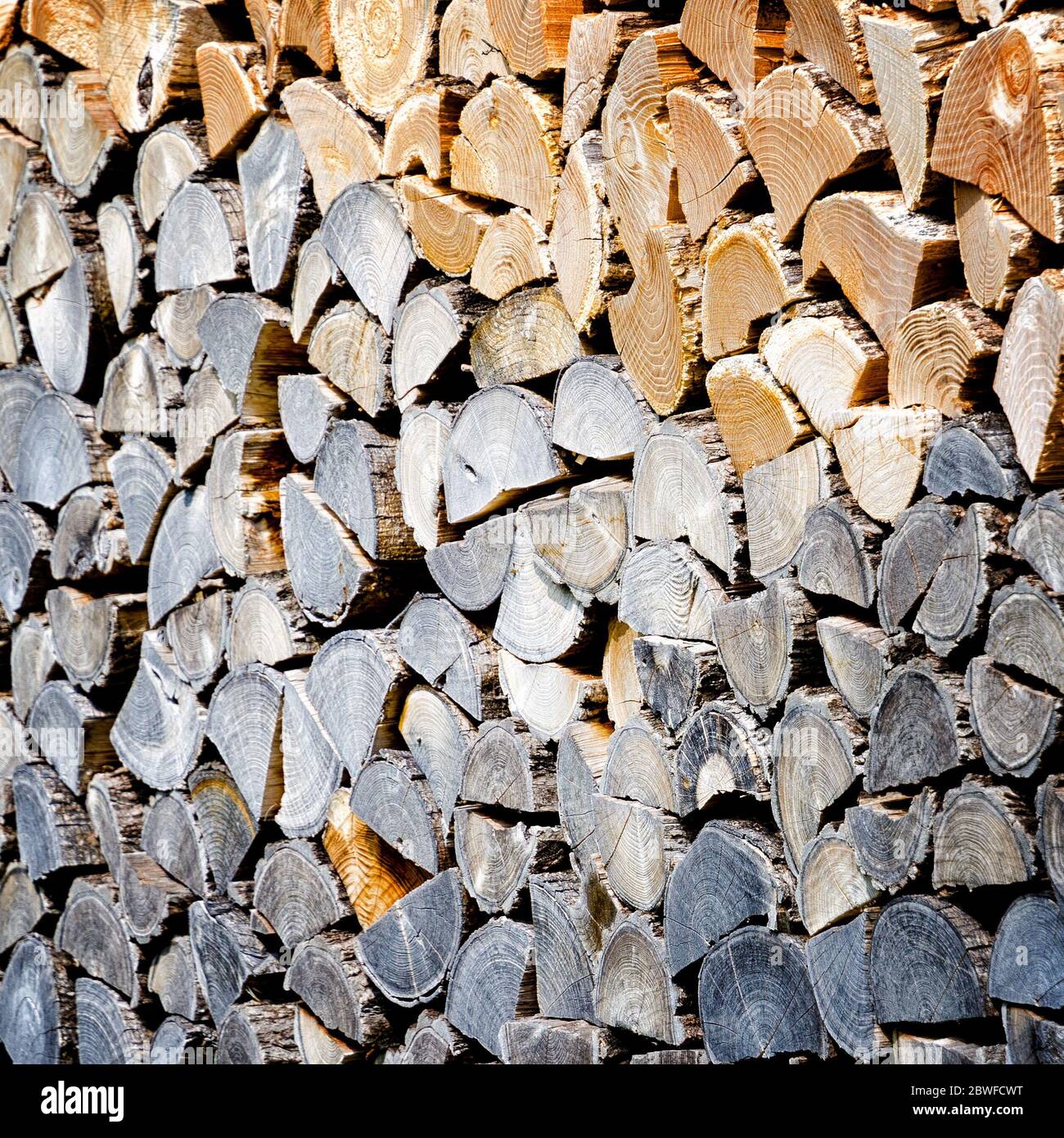 Wood lumber pile stack hi-res stock photography and images - Alamy