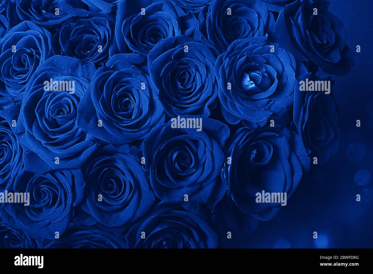 Bouquet Of Beautiful Blue Roses. Trend color classic blue. Color of ...