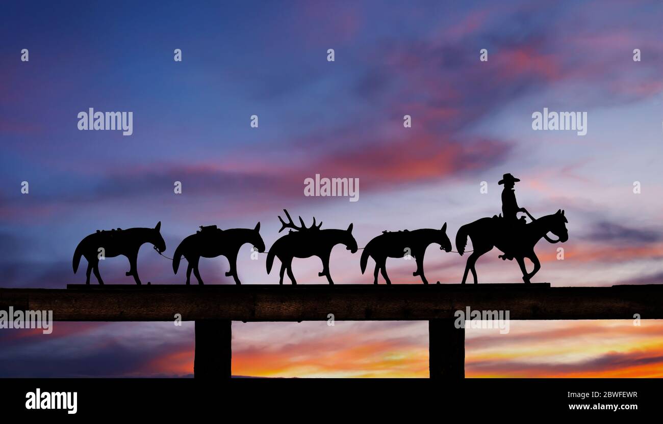 Texas gate ranch hi-res stock photography and images - Alamy