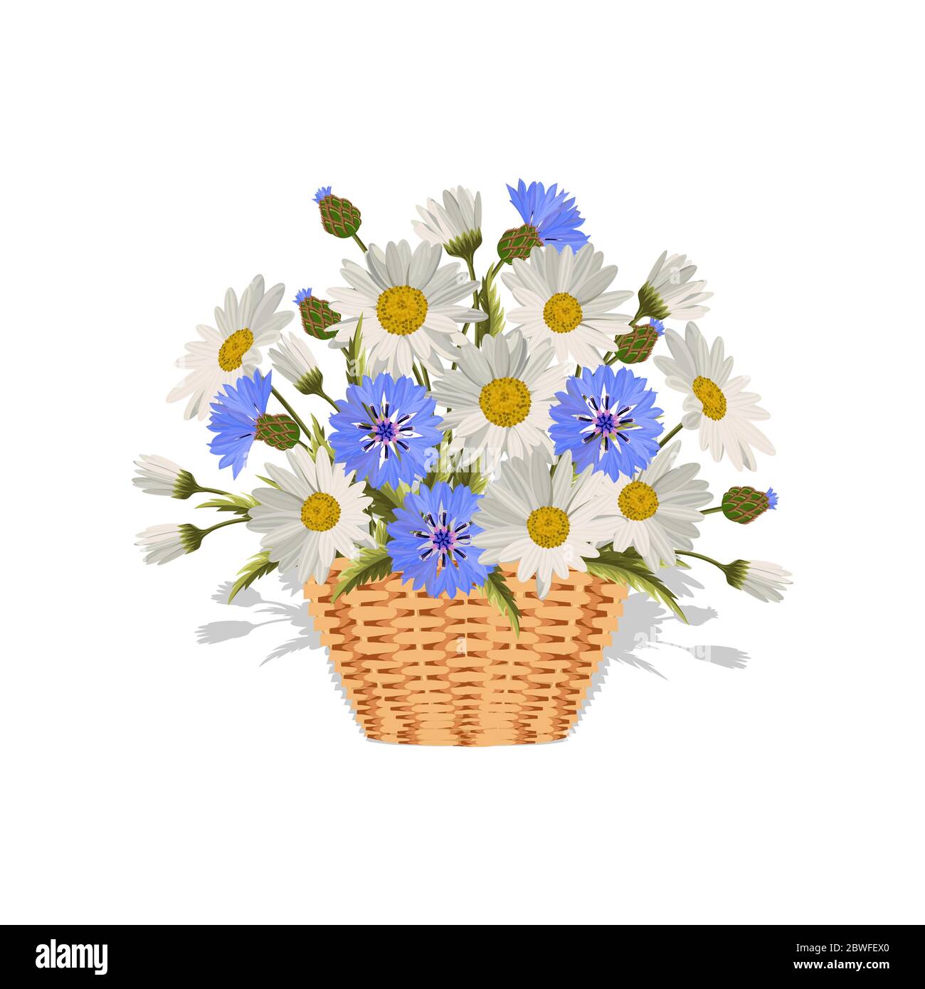 White Daisies Bunch Stock Vector Images - Alamy