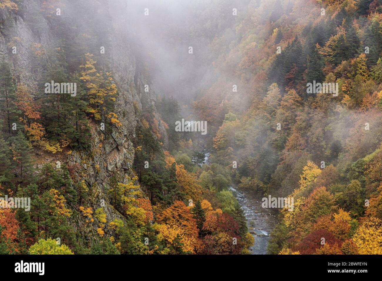 Italy Ligurian Valley - Autumn in Val Tanaro Stock Photo - Alamy