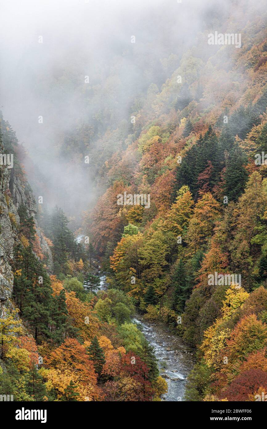 Italy Ligurian Valley - Autumn in Val Tanaro Stock Photo - Alamy