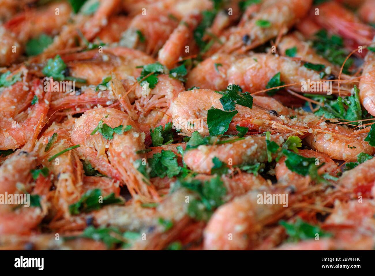 Fresh boiled prawns with coriander. A delicious dish of seafood Stock ...