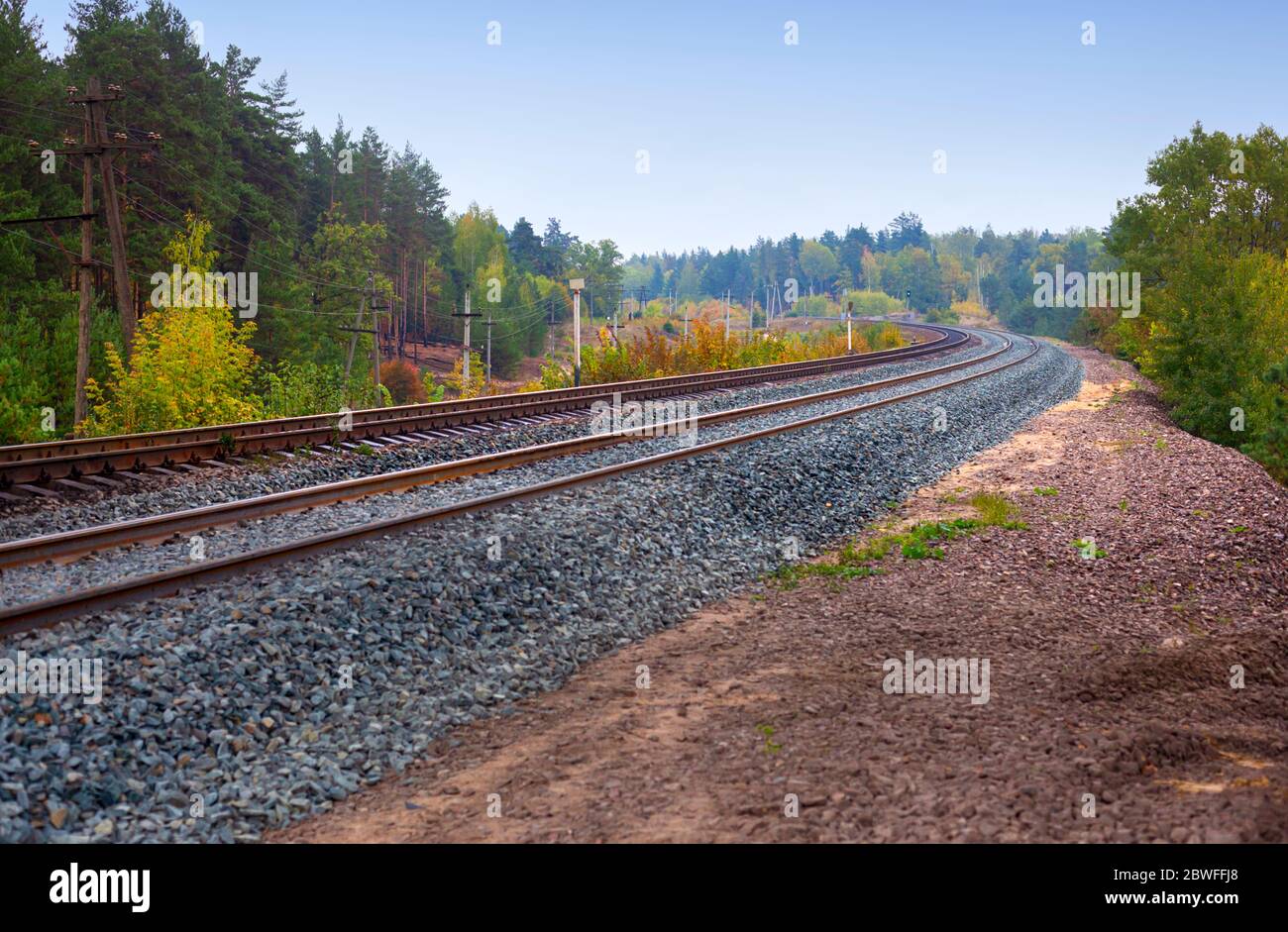 Railroad tracks going through the forest Stock Photo - Alamy