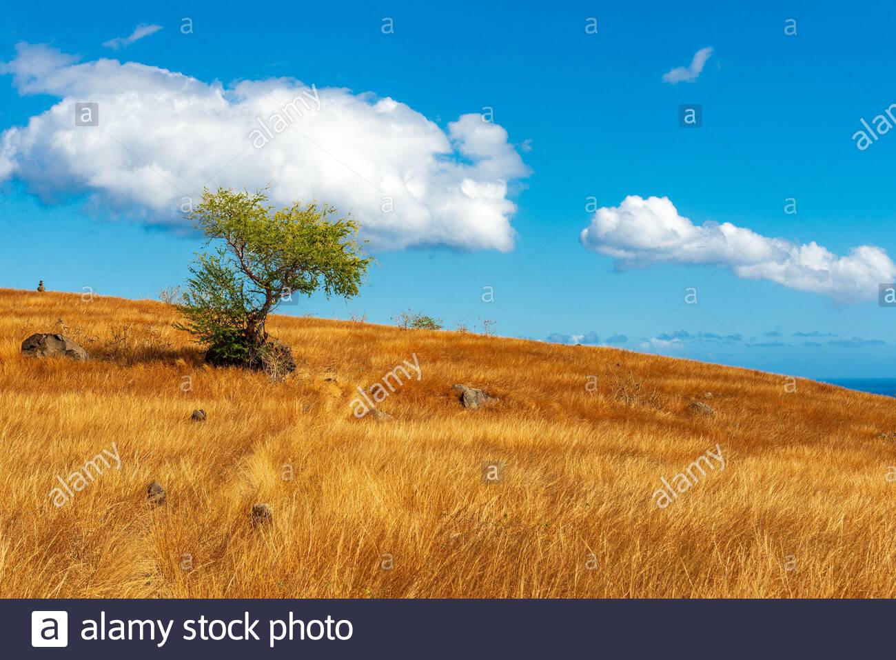 La Savane High Resolution Stock Photography and Images - Alamy