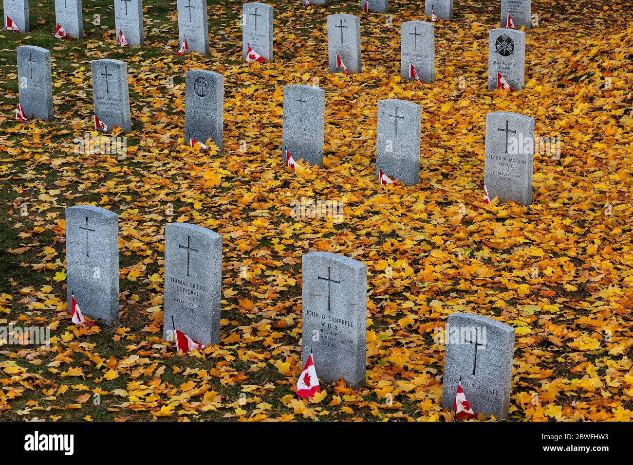 Hamilton Ontario Canada Military cemetery with small Canadian flags ...