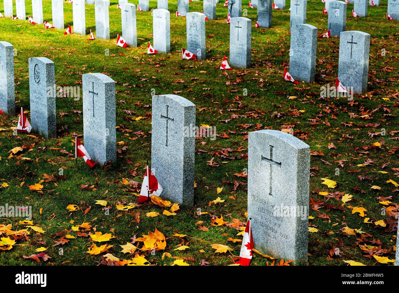 Canadian military cemetery grave hi-res stock photography and images ...