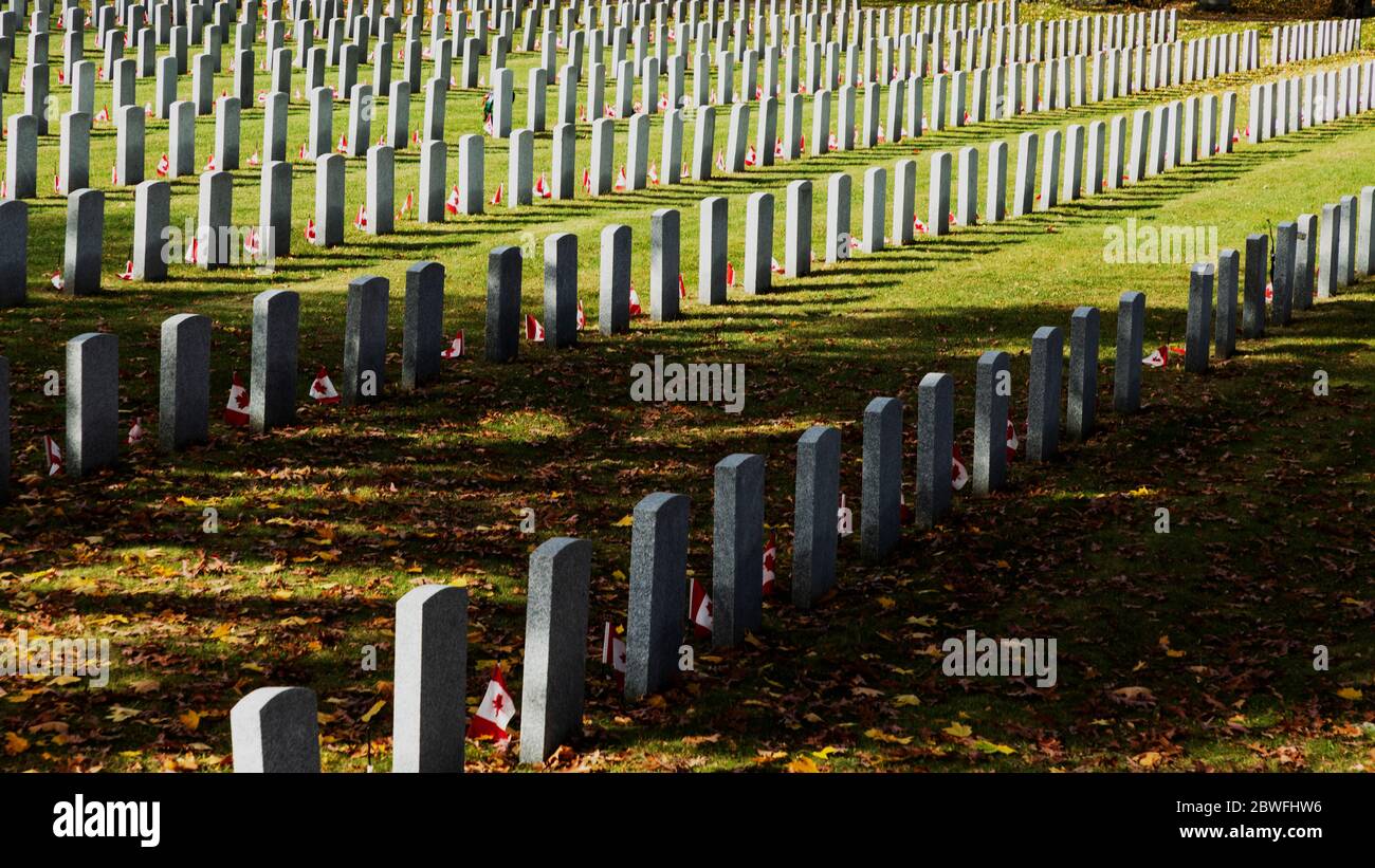 Hamilton Ontario Canada Military cemetery with small Canadian flags ...