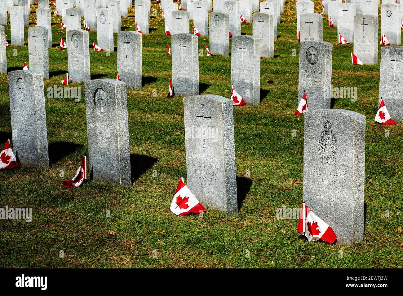 Hamilton Ontario Canada Military cemetery with small Canadian flags ...