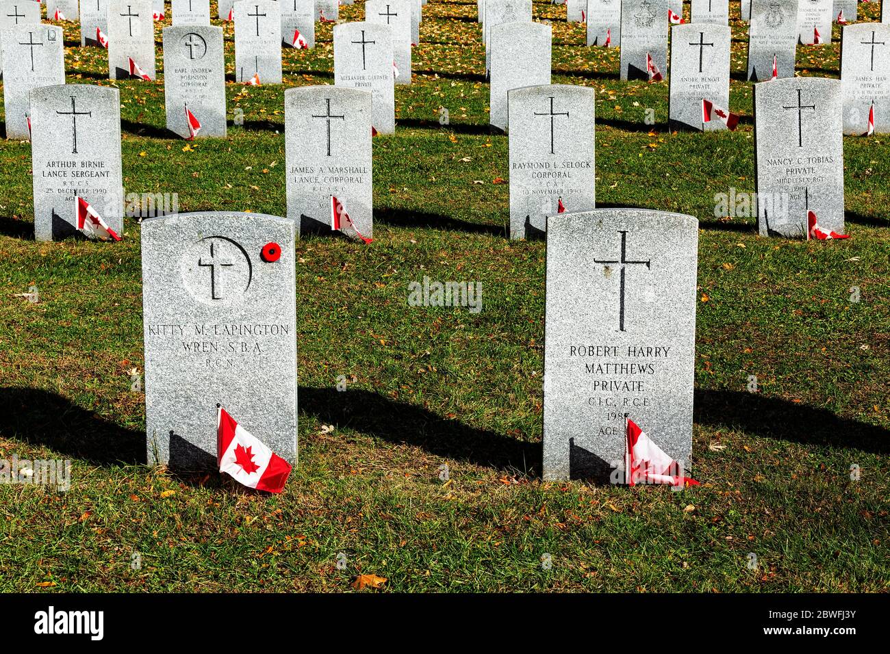 Hamilton Ontario Canada Military cemetery with small Canadian flags ...