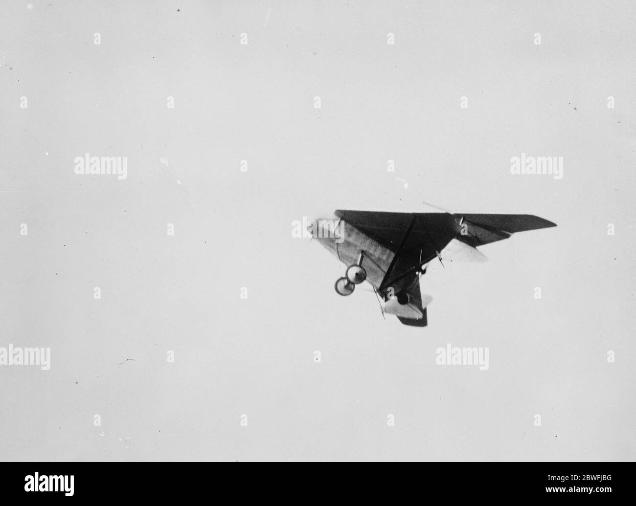 Tail less hi-res stock photography and images - Alamy