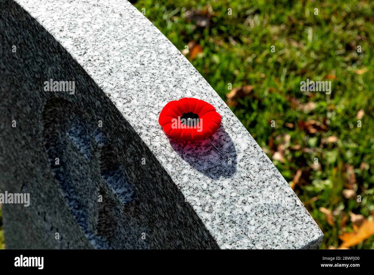 Poppy commemorations hi-res stock photography and images - Alamy