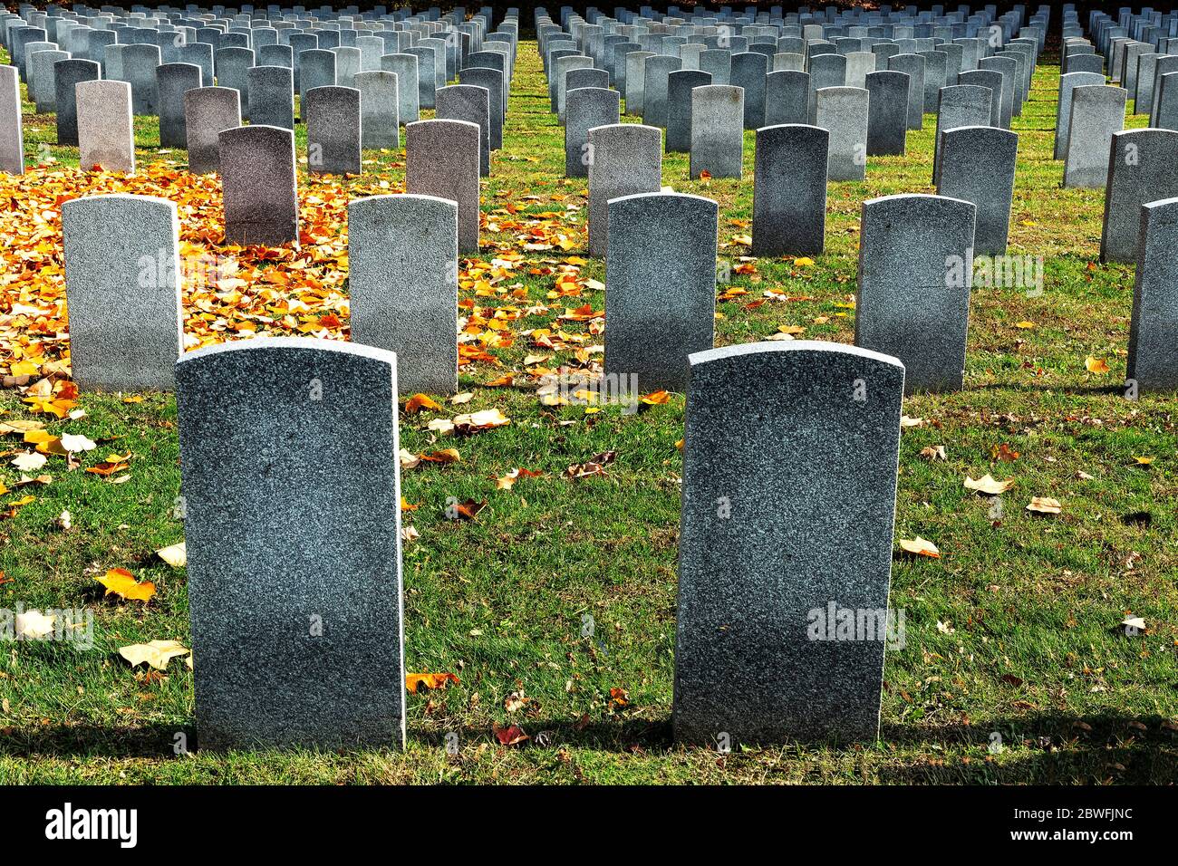 Hamilton Ontario Canada Military cemetery Stock Photo - Alamy