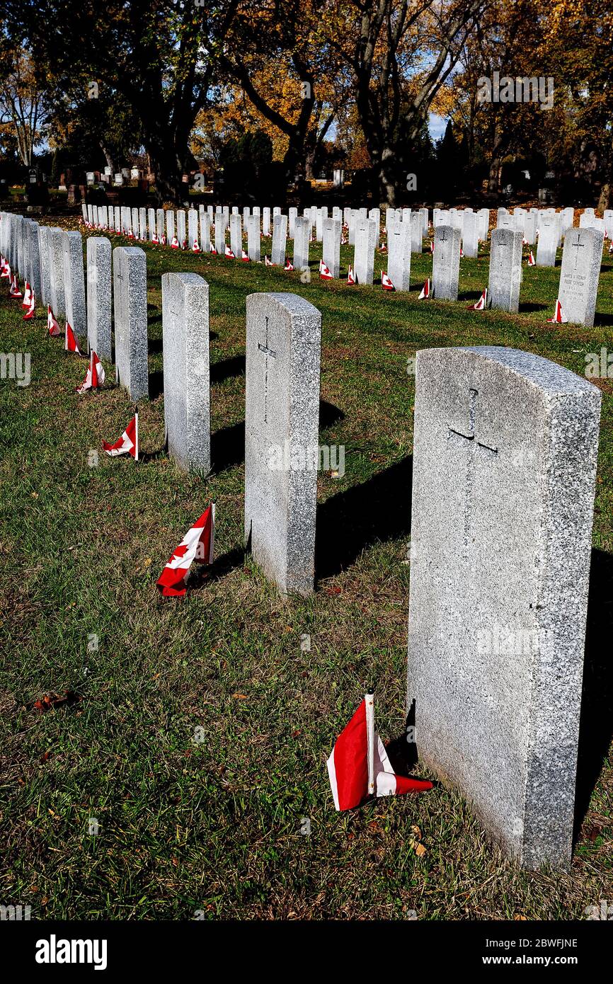 Hamilton Ontario Canada Military cemetery with small Canadian flags ...