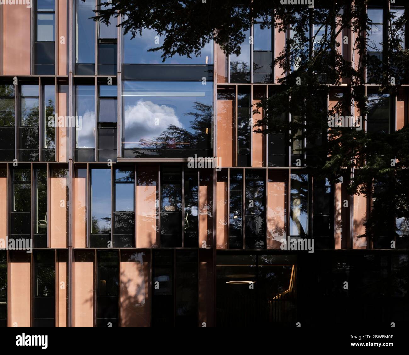 Detail of the bronze cladding. Beecroft Building, Oxford, United ...