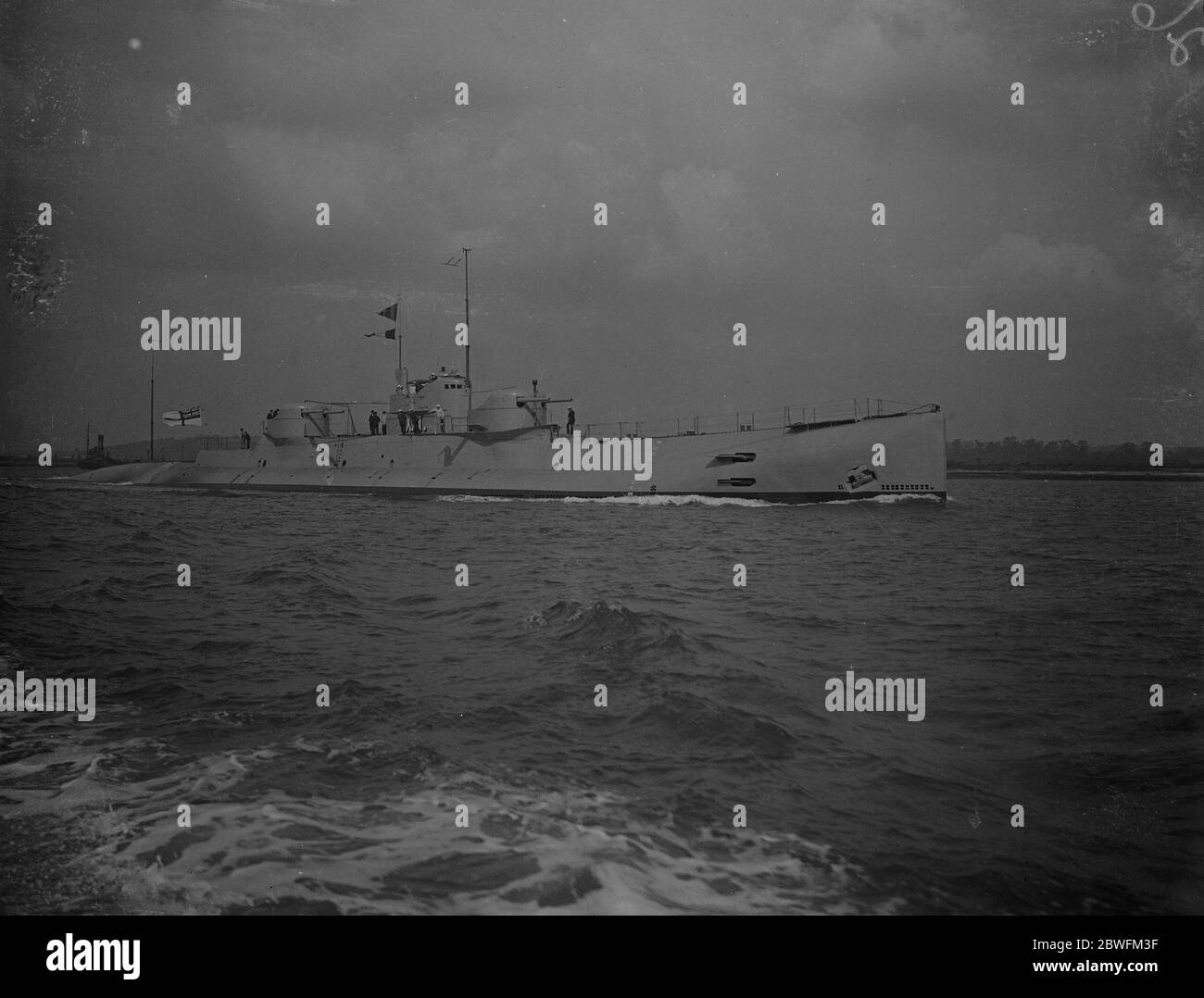Navy leaves hi-res stock photography and images - Alamy