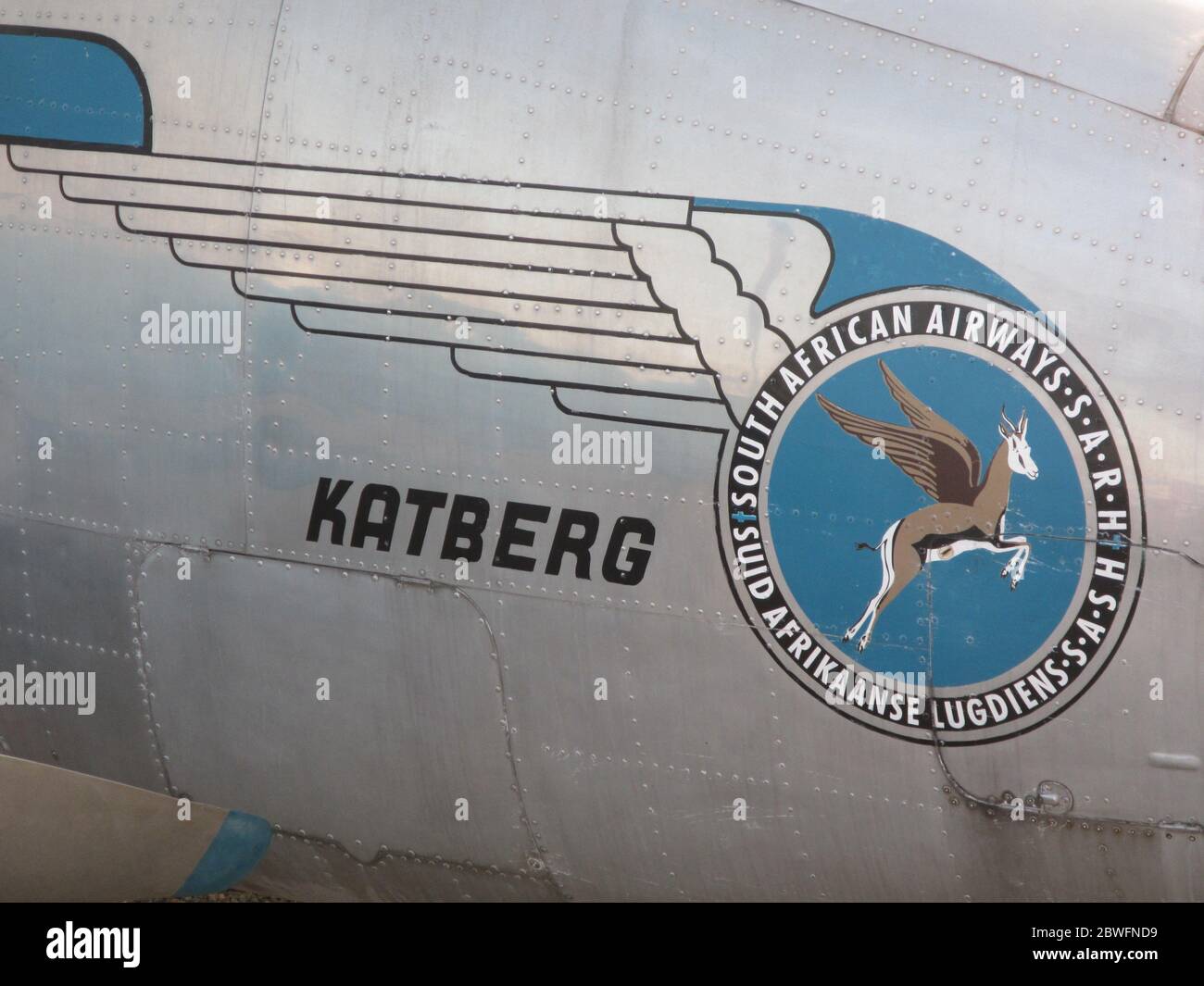 Springbok wing hi-res stock photography and images - Alamy